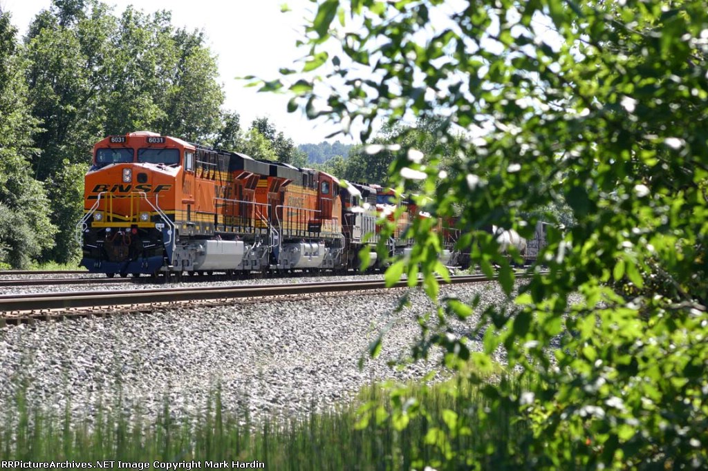 BNSF 6031